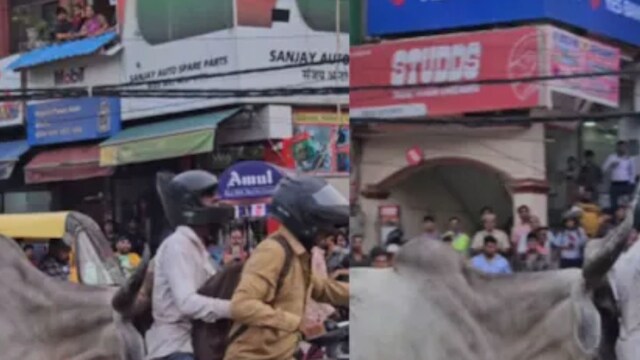 Watch: Bull Pushing Two-wheeler Causes Traffic Snarl On Delhi Road ...