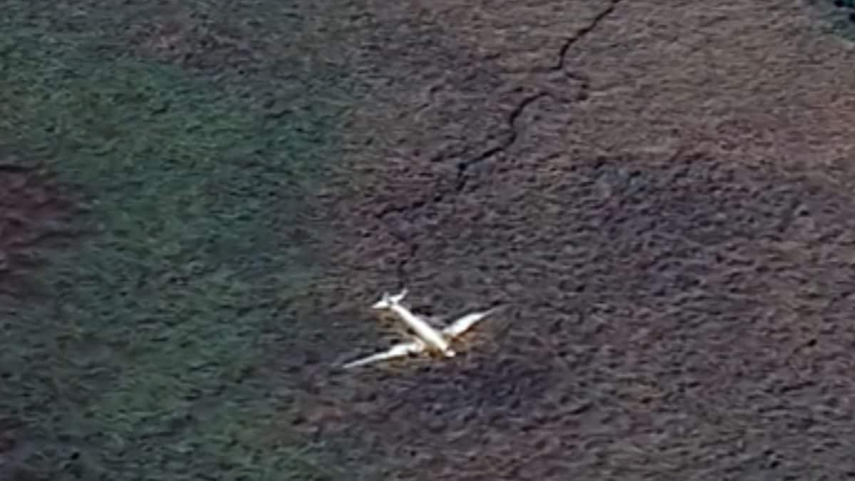 YouTuber Discovers Plane Linked To Pablo Escobar After 3-Day Quest ...