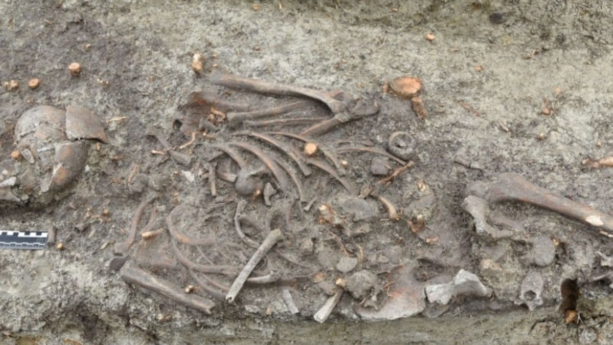 Polish Archaeologists Discover Skeletons Of 'Vampire' Children Buried ...