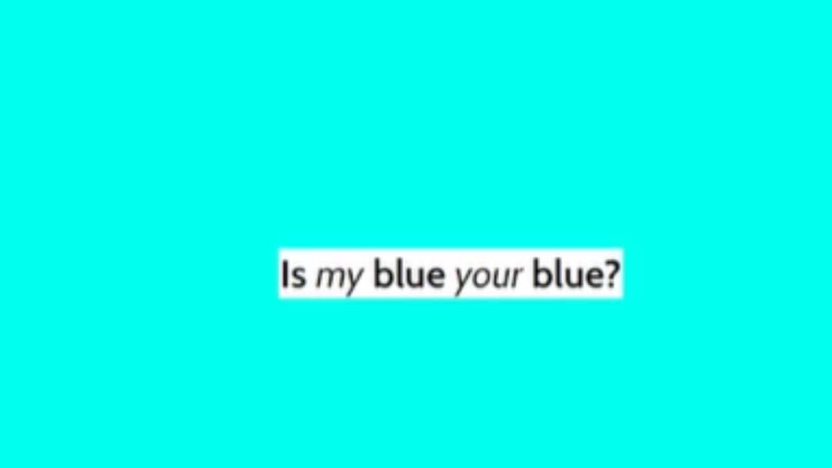 Is It Blue Or Green? Explore Your Colour Vision With This Engaging Test ...