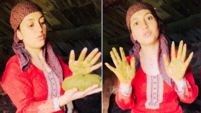Video Of Pahadi Woman Talking About Her Life In The Mountains Viral ...