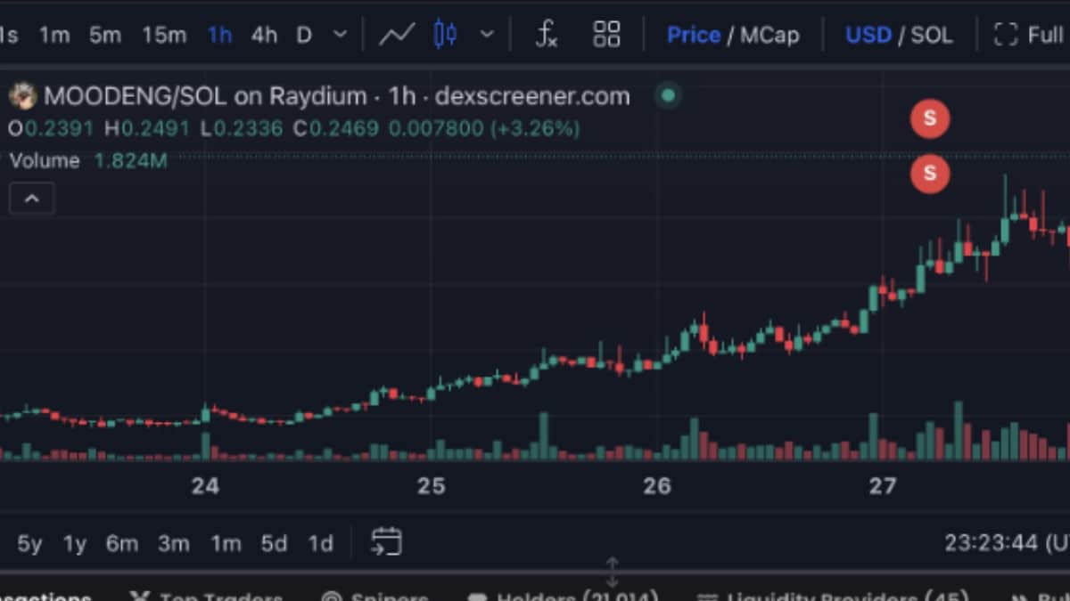 Moo Deng Memecoin User Turns Rs 1 Lakh Into Rs 100 Crore In Just 17 ...