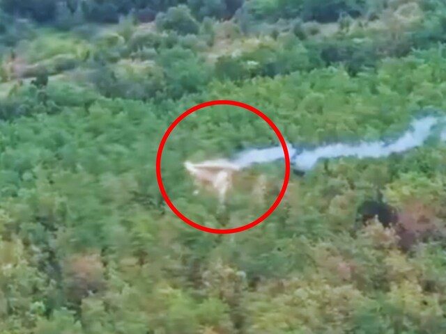 Ukraine's 'Dragon Drone' Spits Out Molten Metal on Russian Troops ...