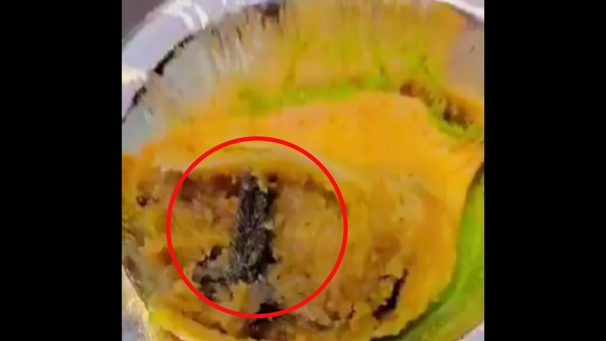 Frog Leg Found in Samosa Bought From Sweet Shop in UP’s Ghaziabad ...