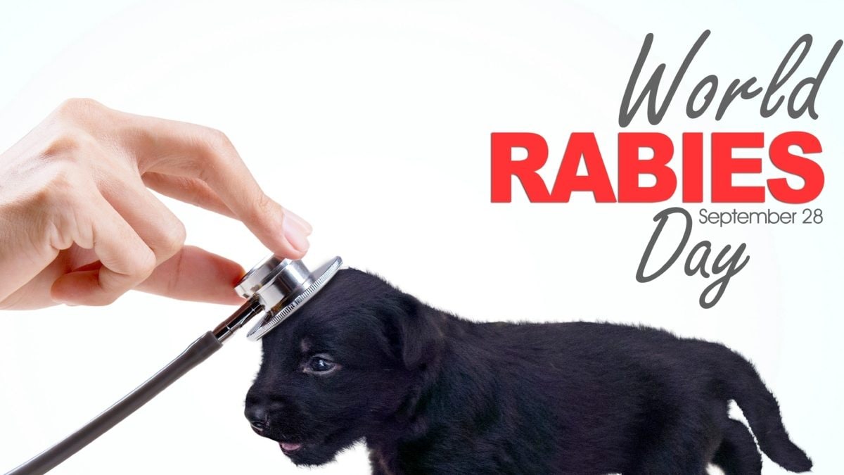 Why is 28 September World Rabies Day? 2024 Theme, History, Significance ...