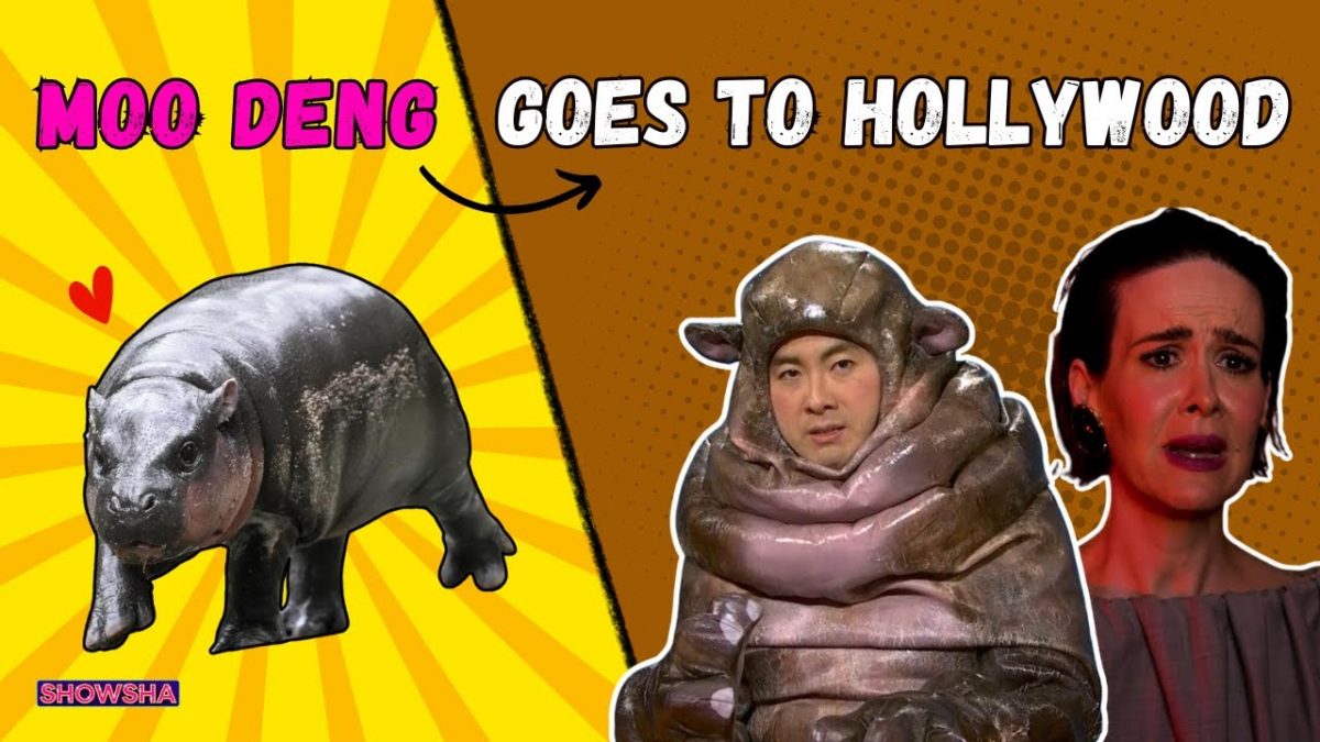 Moo Deng Makes Some People Millions, Gets Famous In Hollywood: All ...