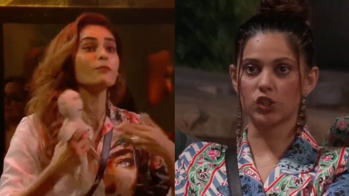 Bigg Boss 18: Arfeen Khan Becomes 1st Captain; Alice Kaushik Calls ...