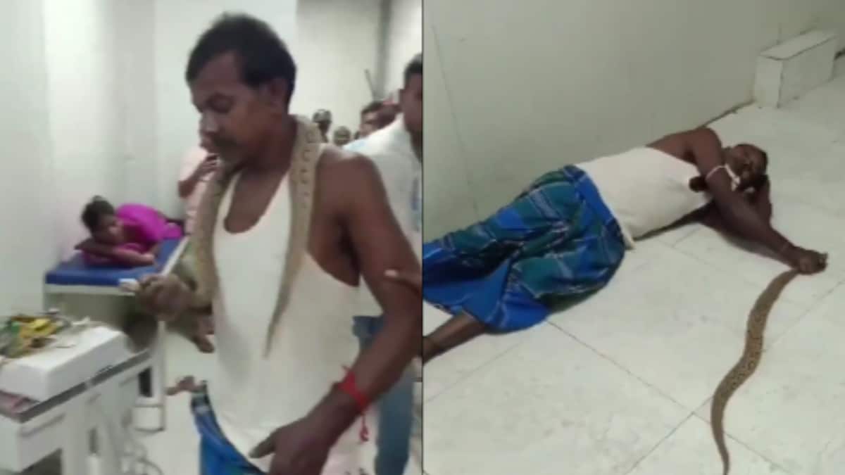 Snake Bites Man in Bihar, He Walks Into Hospital With Reptile in His ...