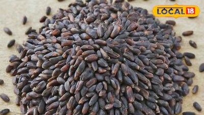 Why You Should Prefer Black Wheat, Also Known As Black Gold, Over ...