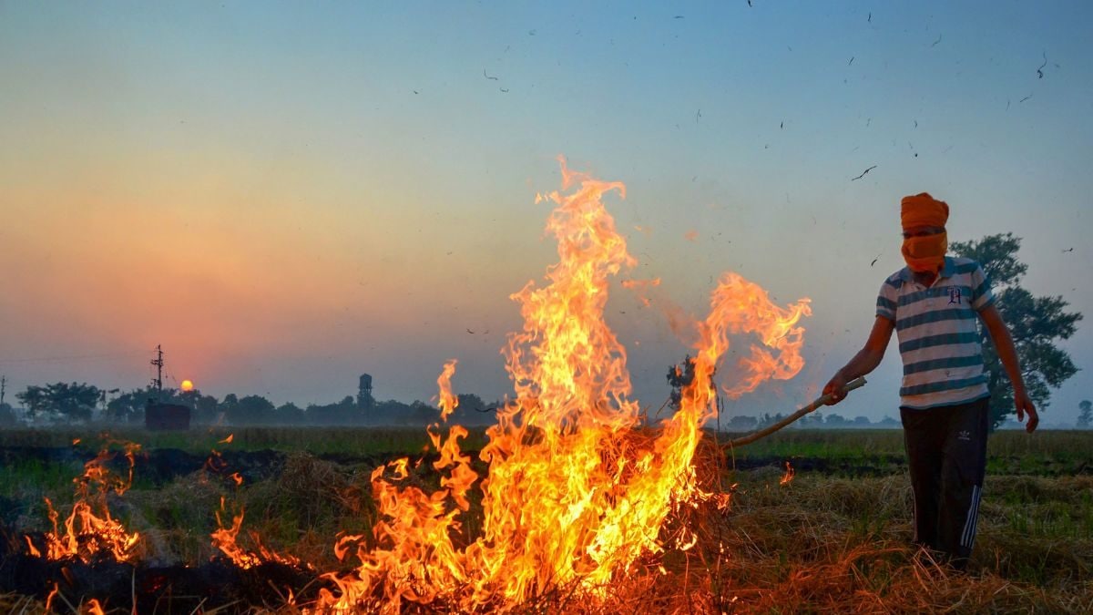 Punjab Reports Season's Highest Farm Fire Cases At 1,251; Total Touches ...
