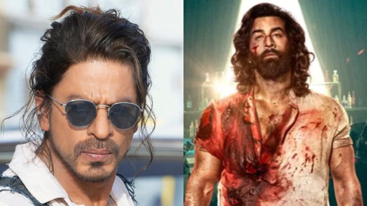 Shah Rukh Khan's Pathaan Director Siddharth Anand Calls Animal Film Of ...