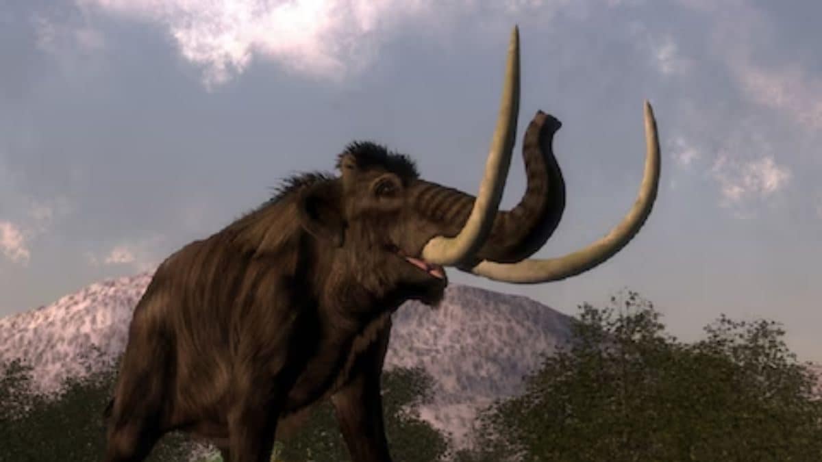 Woolly Mammoths May Walk The Earth Again By 2028: CEO Of Colossal ...