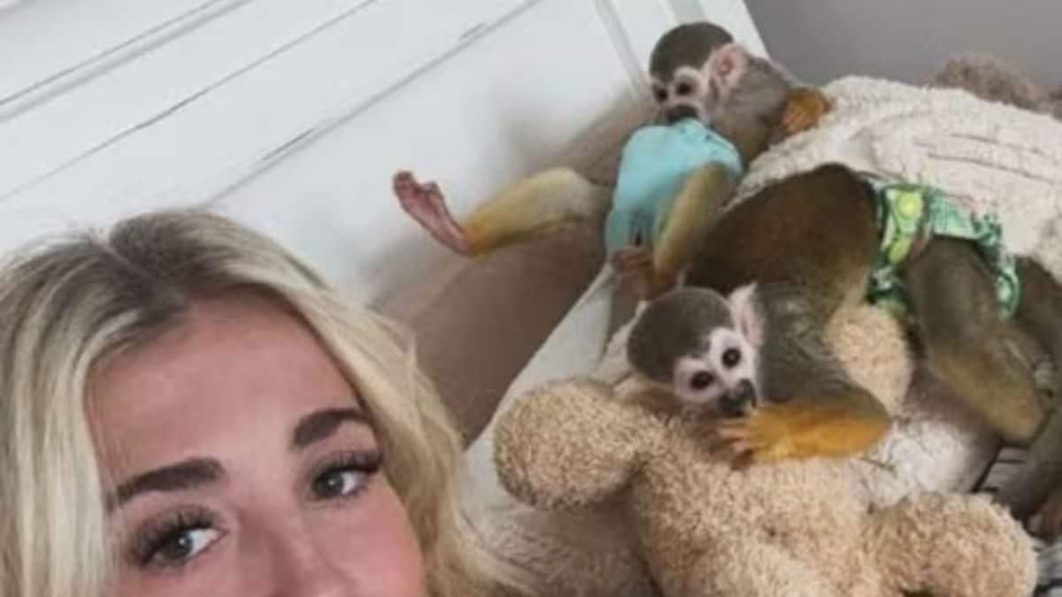 Watch: Woman Prepares Baby Formula For Her Pet Squirrel Monkeys As They ...