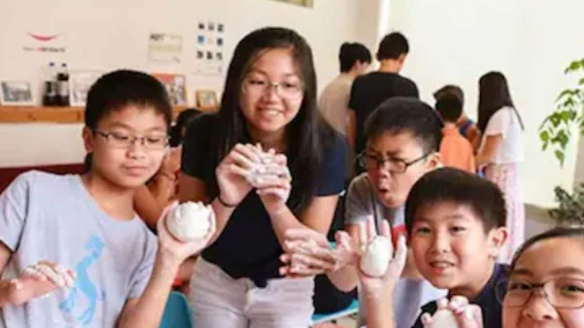 Difference Between Indian And Chinese Education System | Education and ...