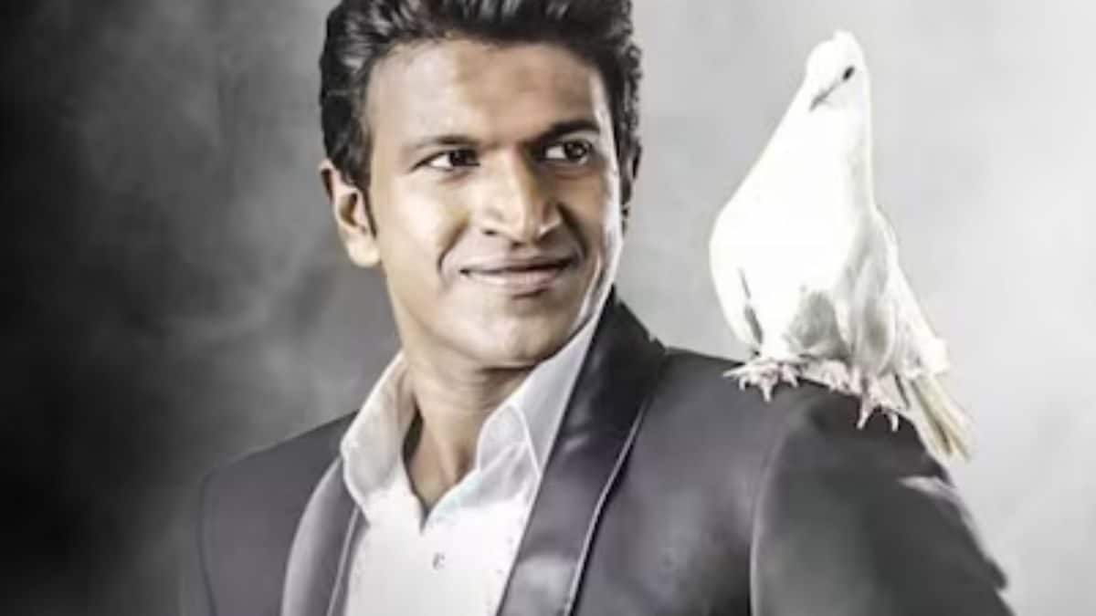 Puneeth Rajkumar Death Anniversary: A Look At The Power Star’s Journey ...