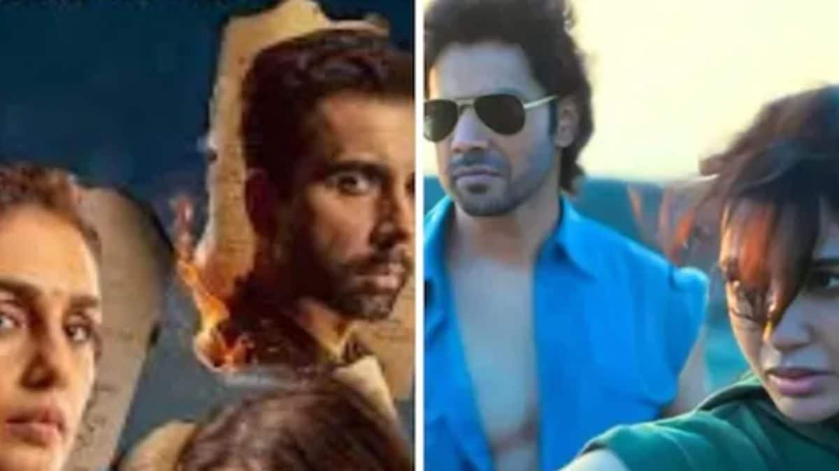 Citadel: Honey Bunny To Vettaiyan, 6 OTT Releases To Enjoy This November | Movies News - News18