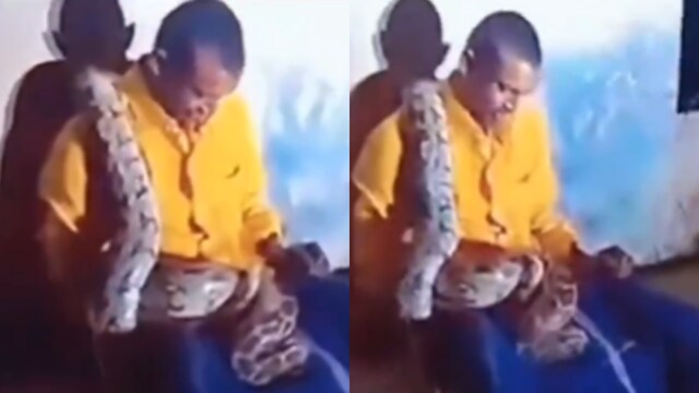Watch: Python Coils Around Drunk Man In Andhra Pradesh, Villagers Rush ...