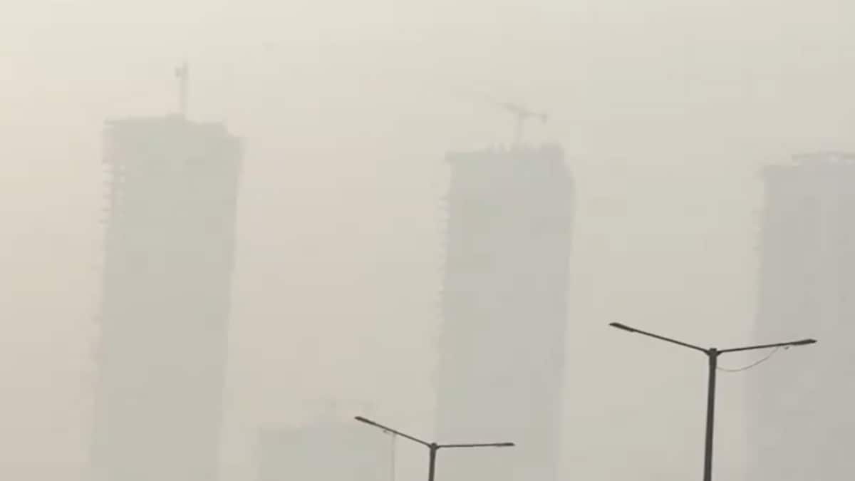 Video Shows Thick Haze Near Delhi-Noida Border As Smog Engulfs Region | Viral News - News18
