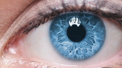 World's First Bionic Eye: Decade-Old Study Reveals Breakthrough In ...