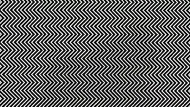 Which Animal Do You See Hidden In This Optical Illusion | Viral News ...
