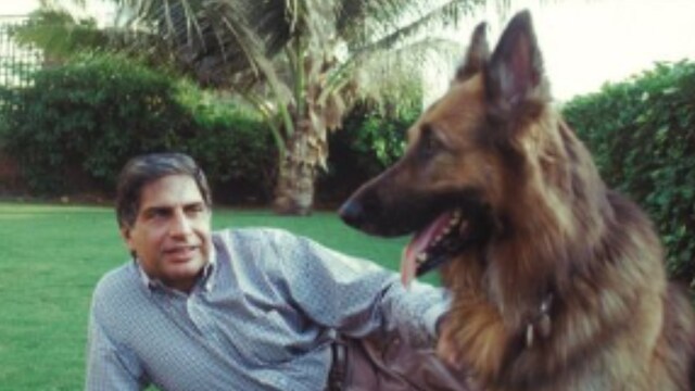 Goa Was Ratan Tata’s Favourite Dog But He Loved Tito The Most | Viral ...