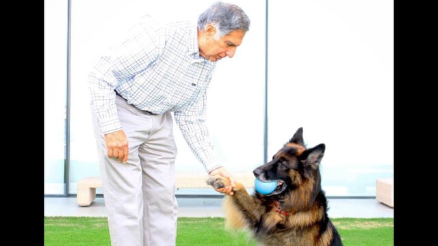 Ratan Tata’s Love For Tito: A Rs 10,000-Crore Will Ensures Unlimited ...