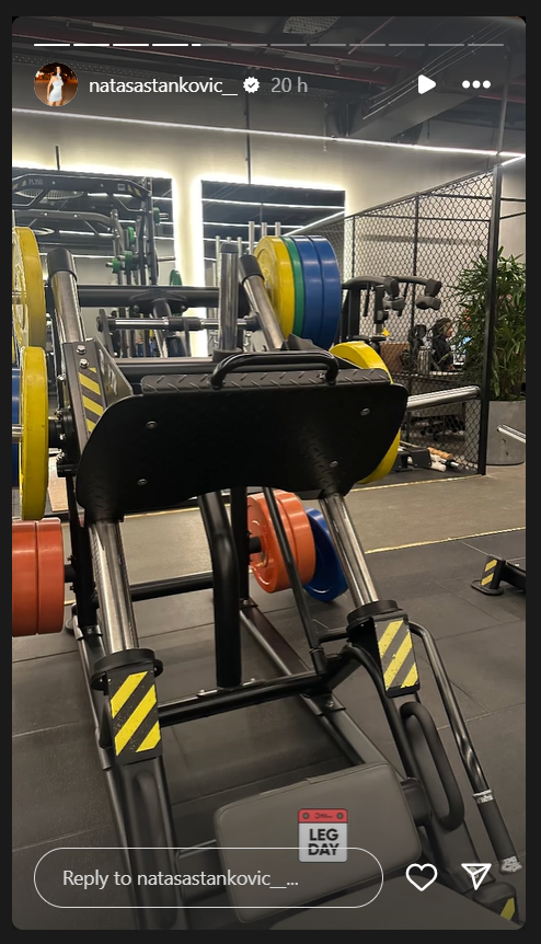 Watch: Natasa Stankovic Spotted Driving A Swanky Car After Her Return ...