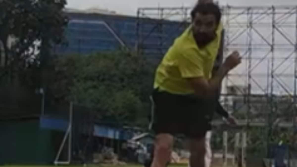 'Success Is The Sum Of Small Efforts...': Mohammed Shami Posts Fitness ...