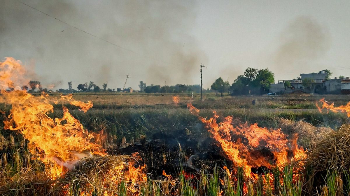 Stubble Fires On Decline In Punjab, Haryana After Record Peak in 2021 ...