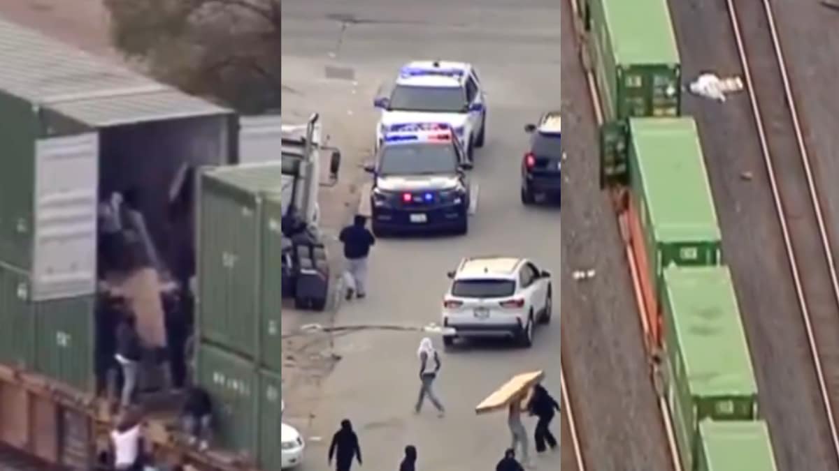 Freight Train In Chicago Looted In Daylight Robbery, Thieves Seen ...