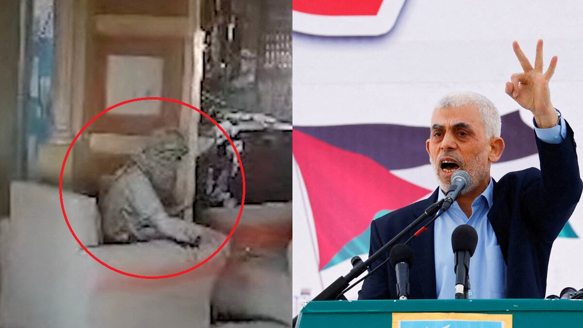 True Palestinian Hero Or Cowardly Hamas Murderer? Drone Video Of Yahya ...