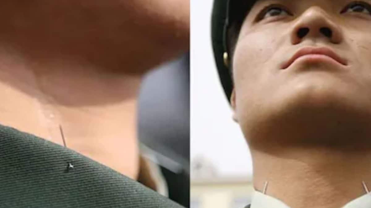 Why Chinese Soldiers Wear Pins In Their Uniform Collars | Viral News ...