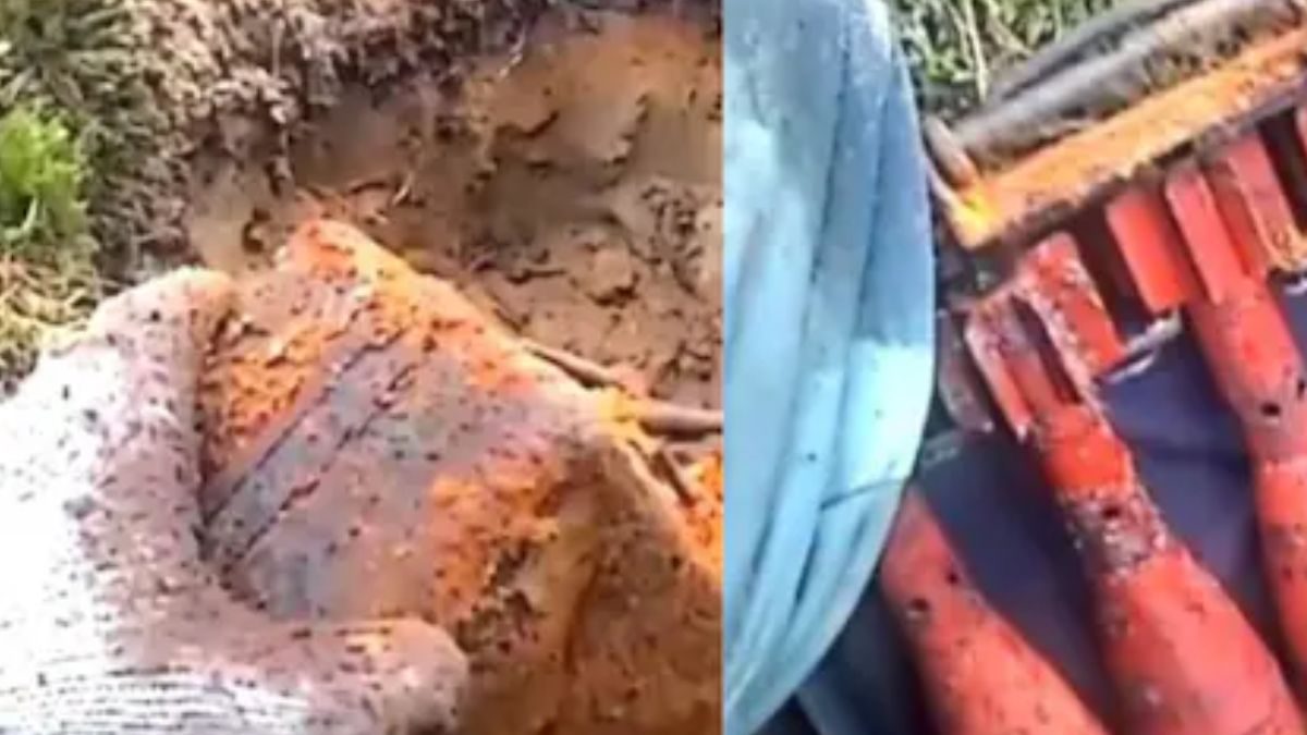 Video Of Man Digging Up World War-era Case With 10 Bombs Inside Viral ...