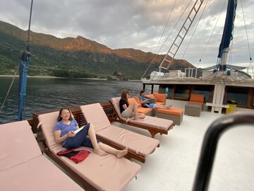 Missing Female Diver's Remains Found Inside Shark, Friend Insists ...