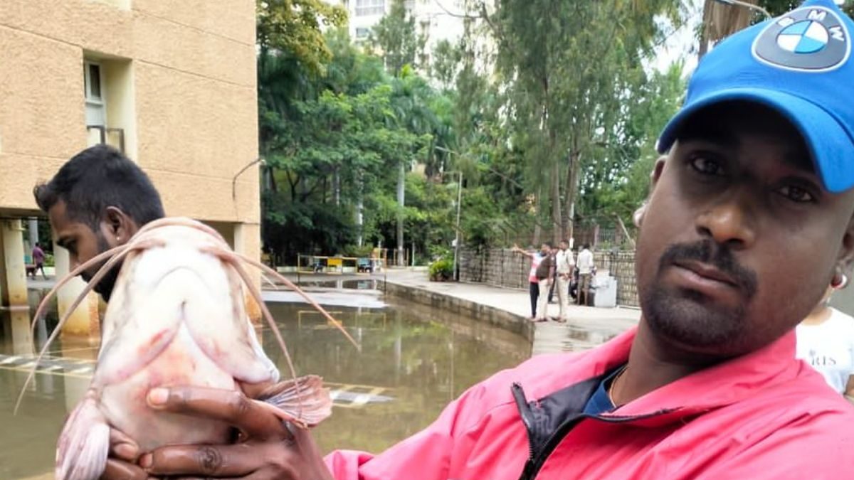 In Viral Pic, Bengaluru Residents Catch Fish In Flooded Basement ...