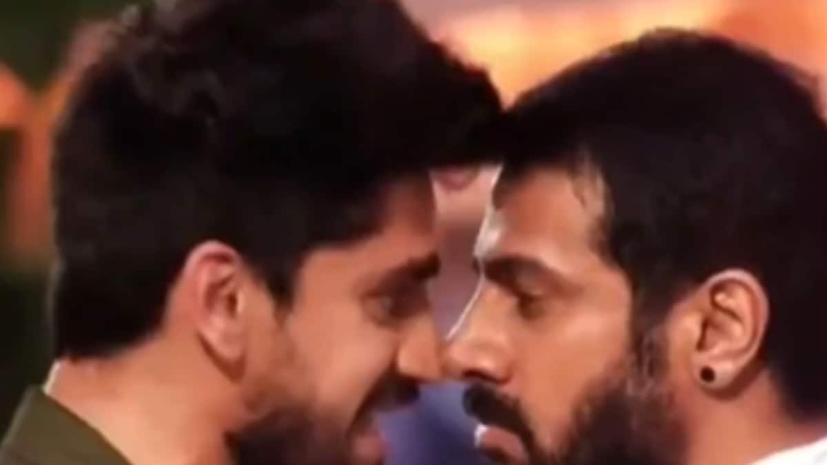 Bigg Boss 18: Did Avinash Mishra, Karan Veer Mehra Kiss Each Other In ...