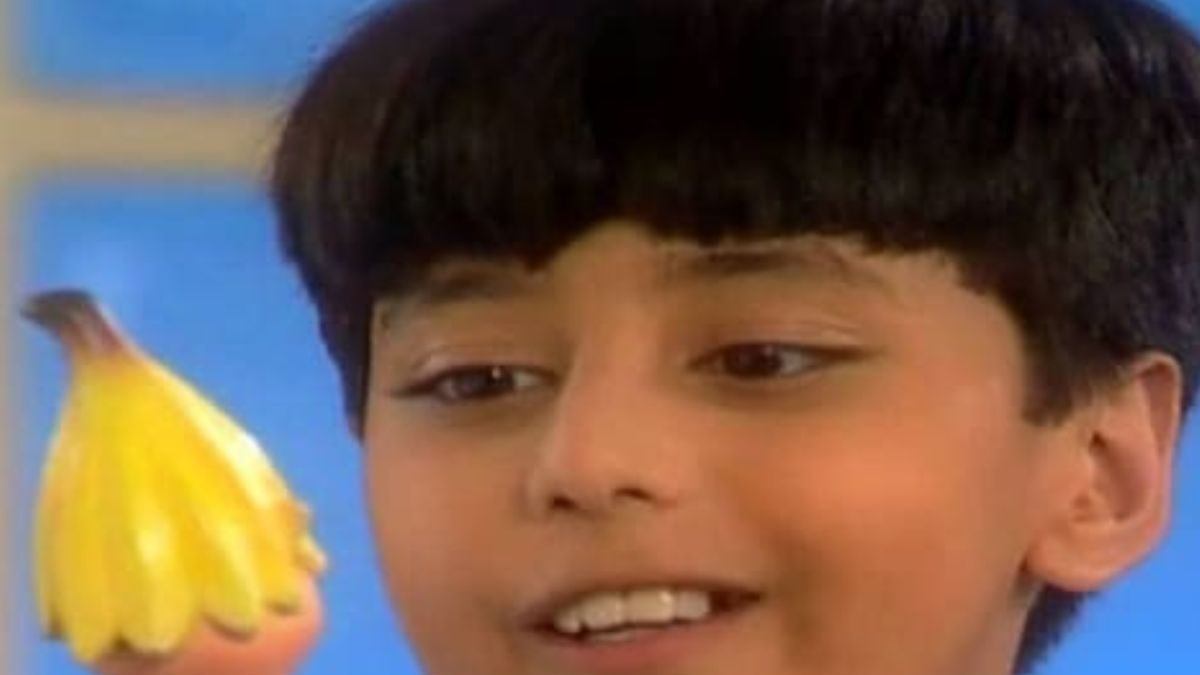 Remember Actor Kinshuk Vaidya From Shaka Laka Boom Boom? Here's What He ...