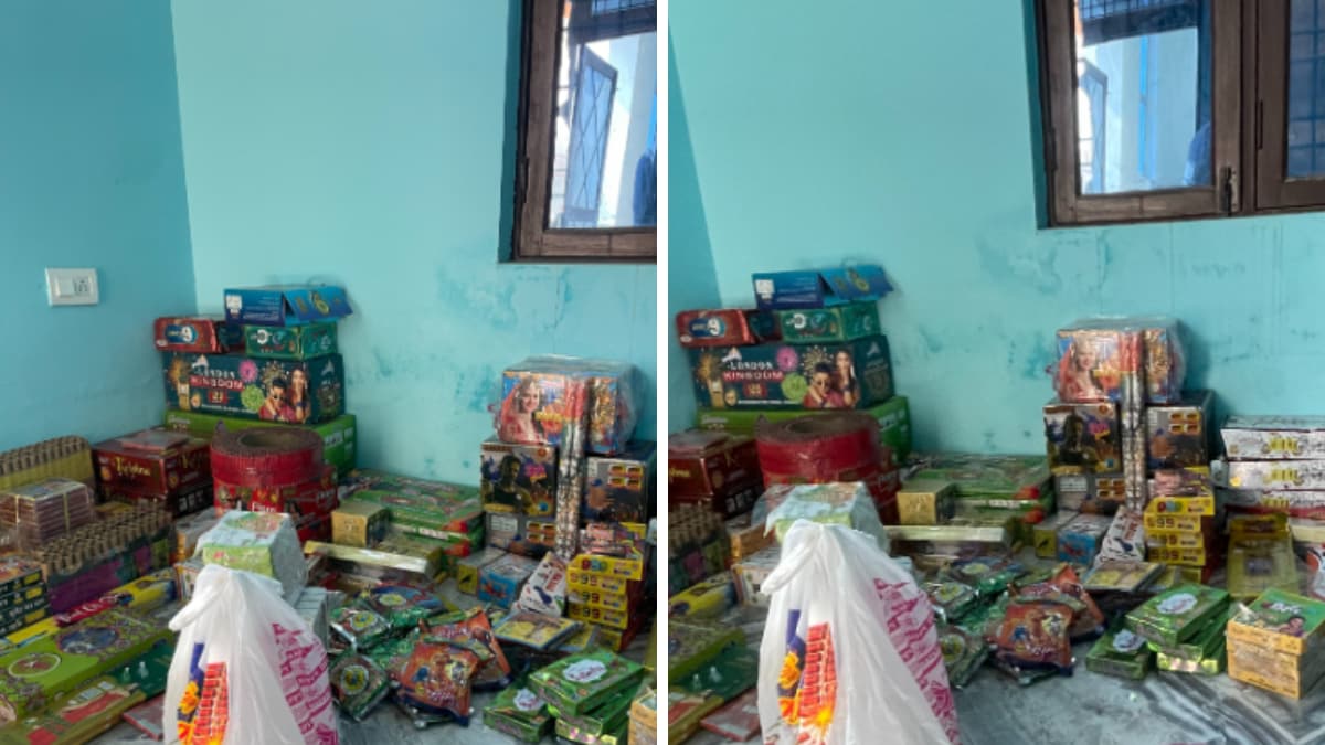 After His 10-4 Job, This Techie Turns Entrepreneur To Sell Firecrackers | Viral News - News18