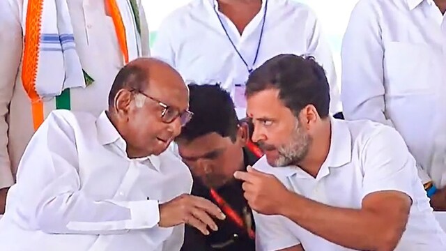 Parliament Consultative Committees: Rahul Out Of MEA Panel; Pawar Added ...