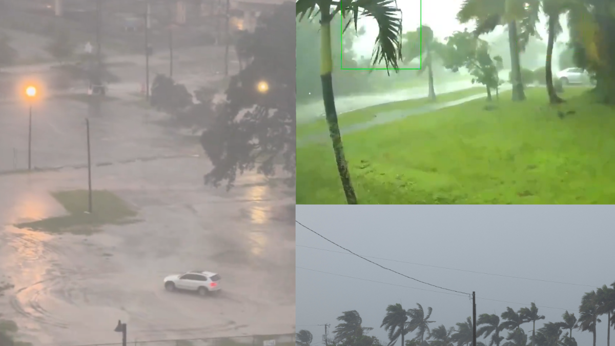 Watch: Terrifying Videos Emerge As Hurricane Milton Tears Through US ...