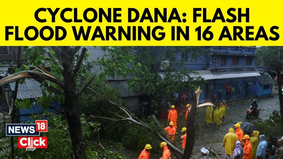 Cyclone Dana: Trees Uprooted, Roads Damaged, Over 10 lakh Evacuated ...