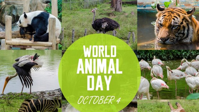 World Animal Day 2024: Theme, History, Significance, Quotes, and ...