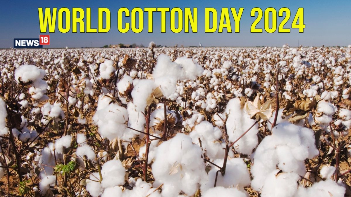 World Cotton Day 2024: Date, History, Significance and Types of Cotton ...