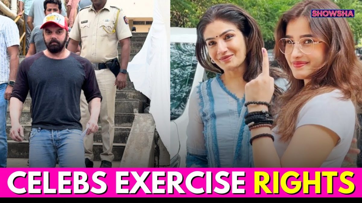 Maharashtra Elections 2024: Sohail Khan, Prachi Desai & Raveena Tandon ...