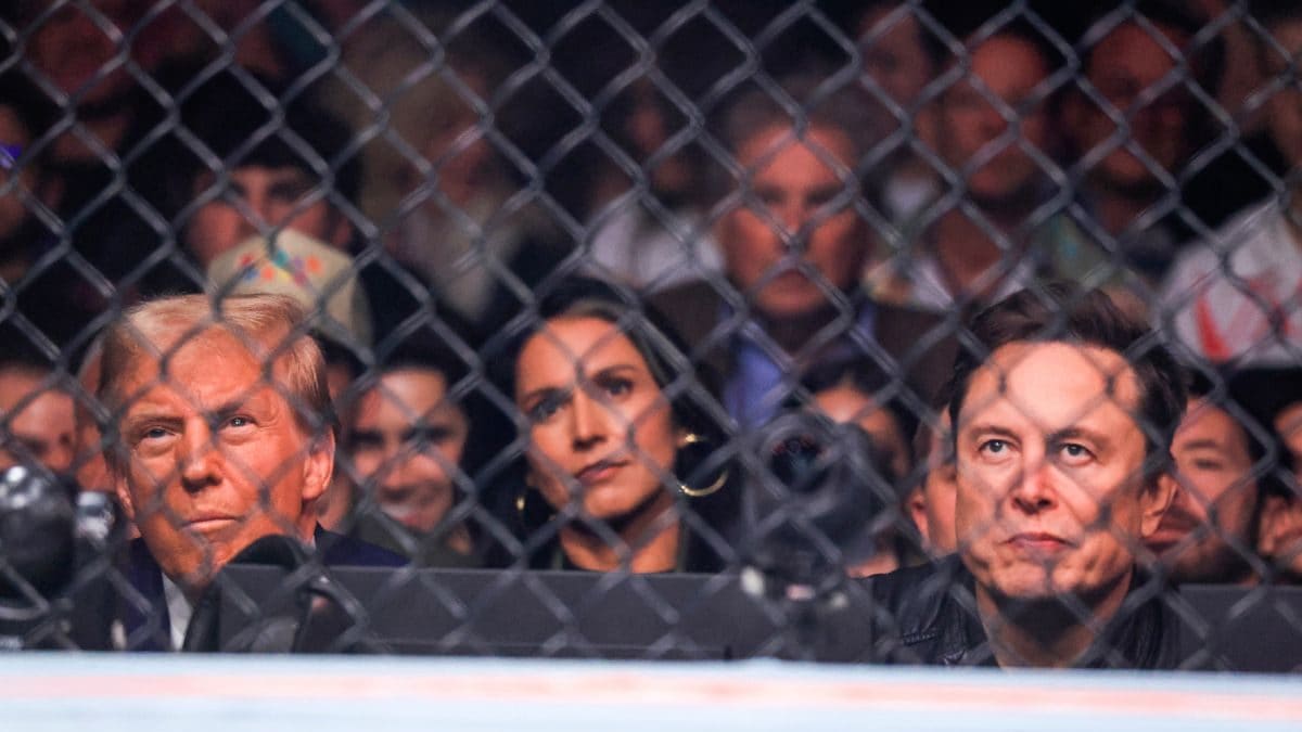 Donald Trump And Allies Return To New York For UFC Fights | Sports News ...