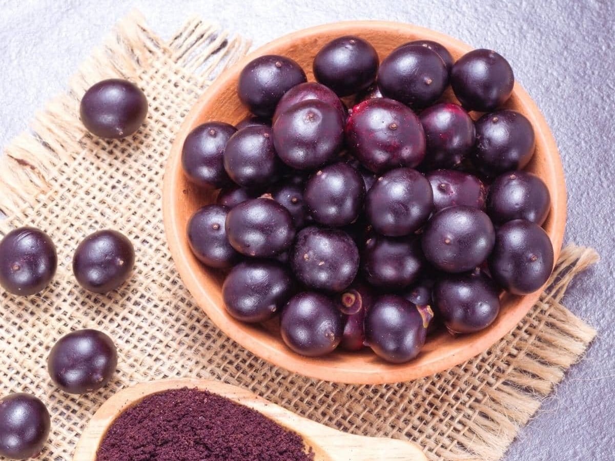 7 Reasons Why Everyone Should Consume Acai Berries News18