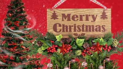 3 Surprising Benefits Of Keeping Christmas Tree At Home | Lifestyle ...