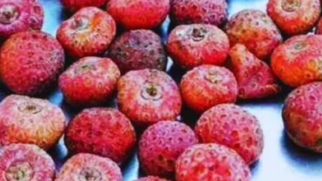 Keeping Diabetes Under Control To Boosting Immunity, Benefits Of ...