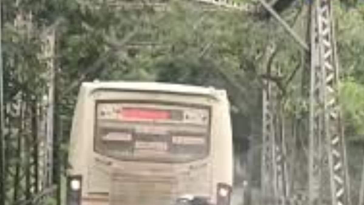 Travelling To Ooty? Here’s Why The Mettupalayam-Coonoor Road Is A Must ...