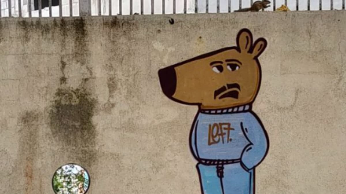 The Iconic 'Chill Guy' Meme Makes Its Way To Bengaluru | Viral News ...